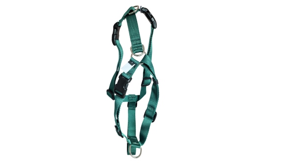 Tellington TTouch® Training Harness – Xtra Dog Training