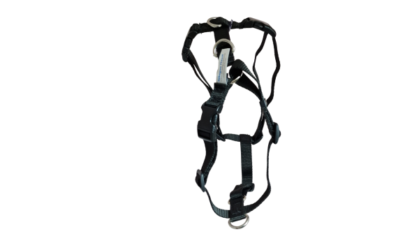 Tellington TTouch® Training Harness – Xtra Dog Training