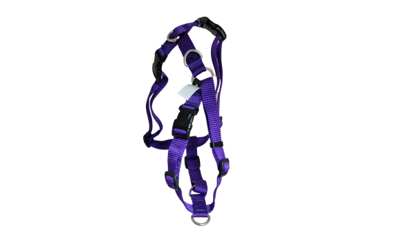 Tellington TTouch® Training Harness – Xtra Dog Training