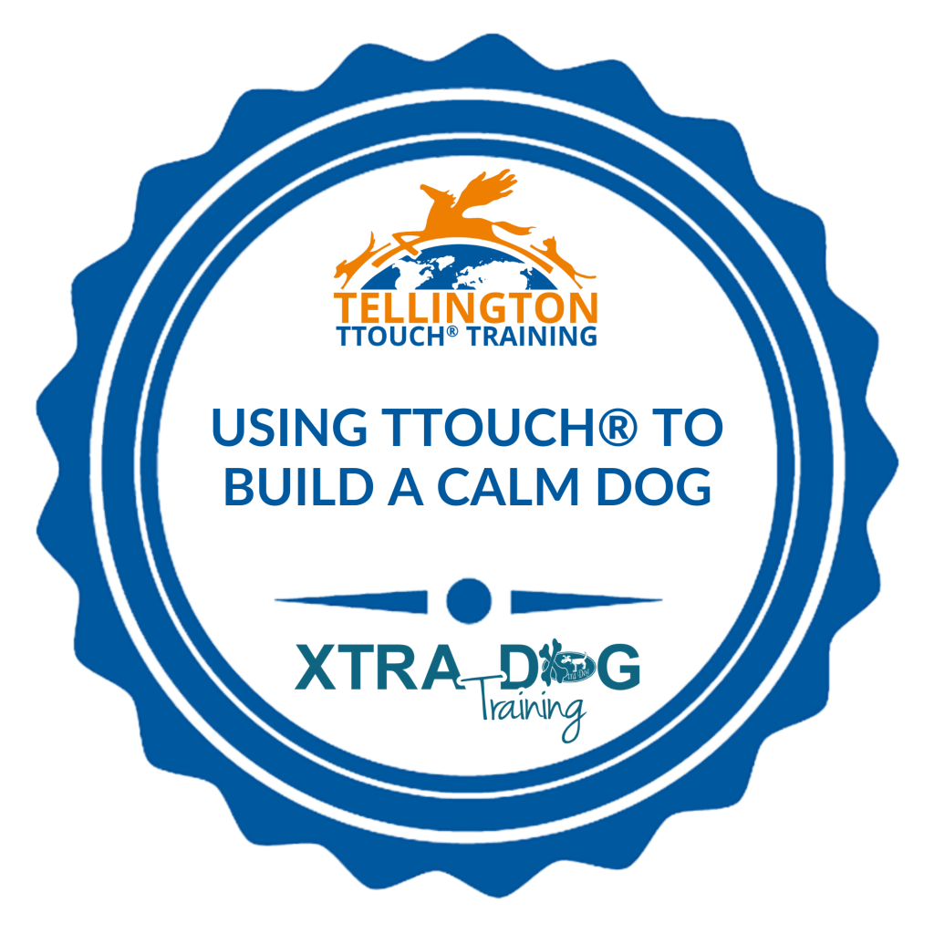 Using TTouch To Build A Calm Dog with Lindy Dekker – Xtra Dog Training